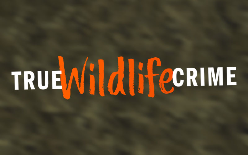 True Wildlife Crime | Virginia DWR