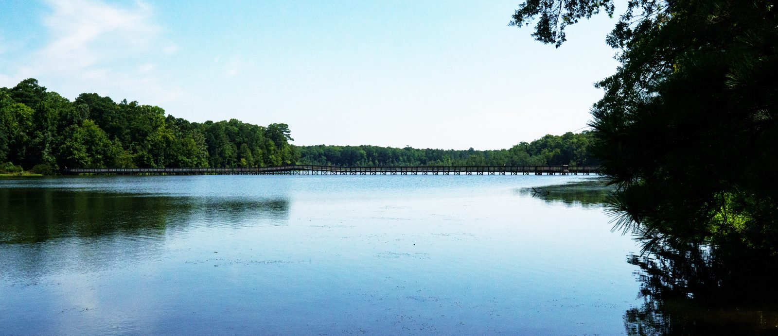 Fleeting Moments on the Lower Peninsula Loop of the VBWT | Virginia DWR