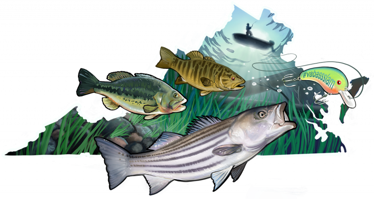 Virginia Bass Slam Challenge | Virginia DWR