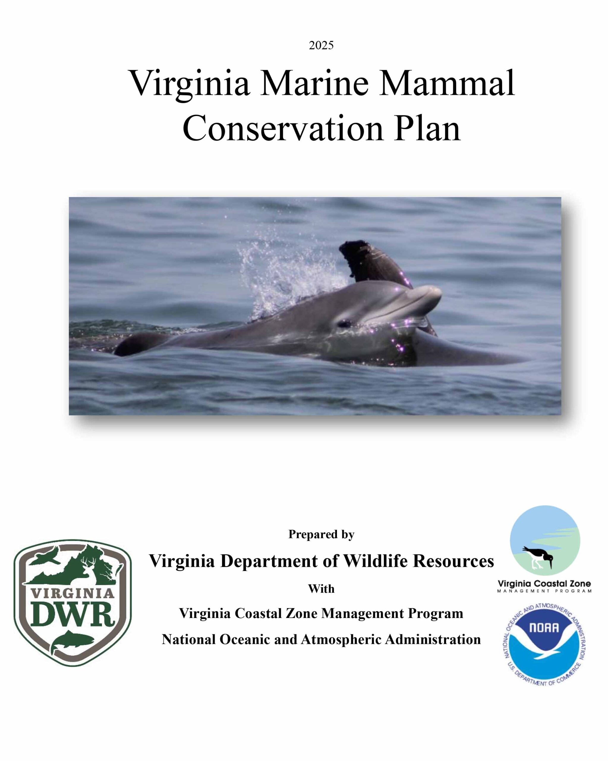 Virginia Marine Mammal Conservation Plan | Virginia DWR