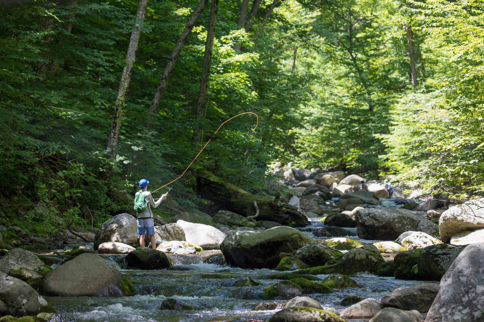 A Visitor’s Guide to DWR Properties | Virginia DWR