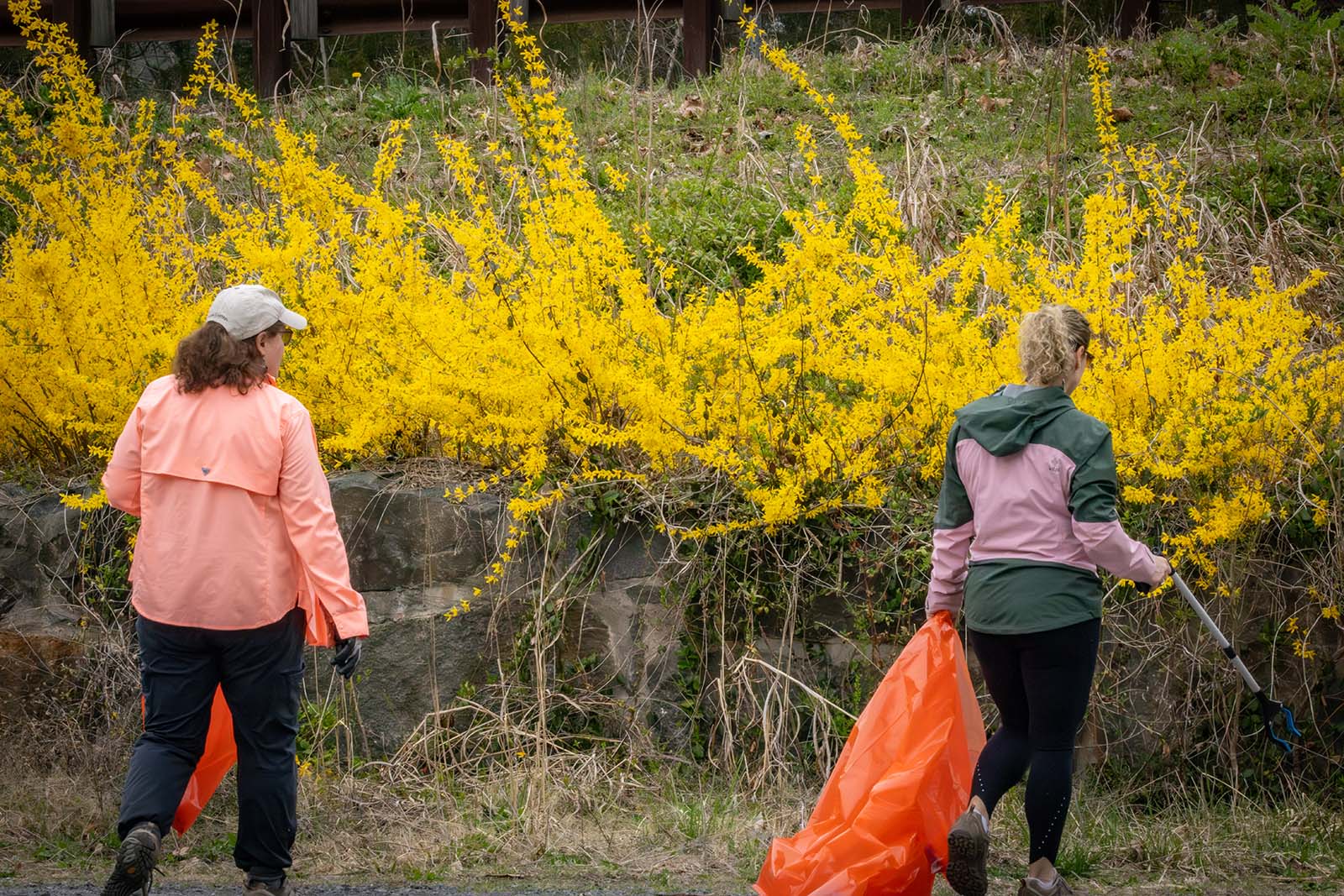 Volunteer Opportunities | Virginia DWR