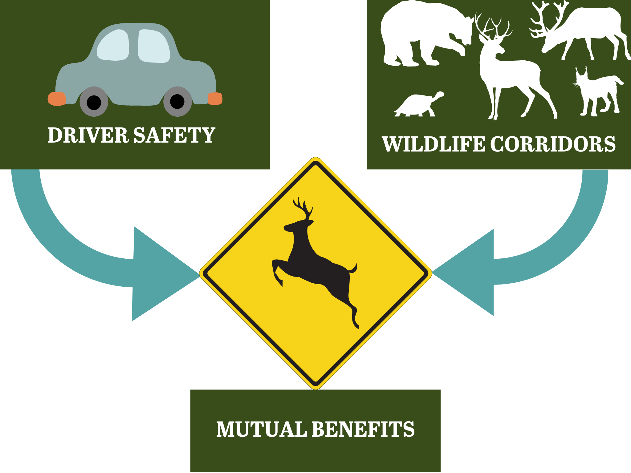 Virginia’s Wildlife Corridor Action Plan | Virginia DWR