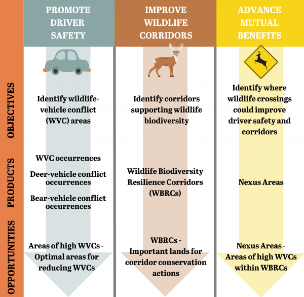 Virginia’s Wildlife Corridor Action Plan | Virginia DWR