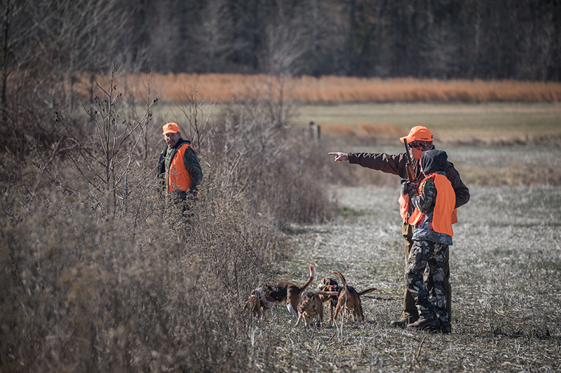 Youth Rabbit Hunt Educates and Inspires Four Young Hunters | Virginia DWR