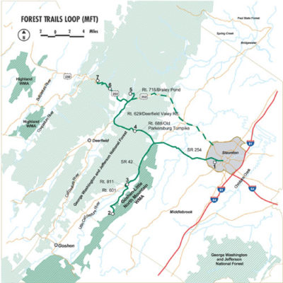 Forest Trails | Virginia DWR