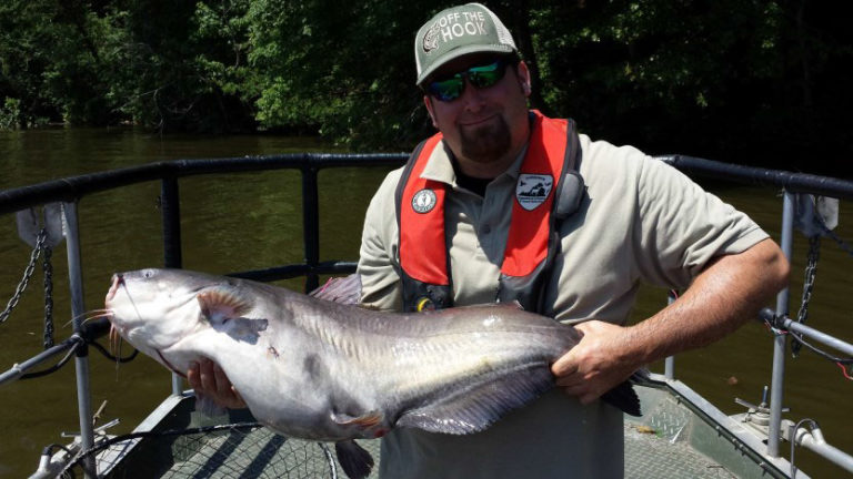 Fishing for Catfish | Virginia DWR